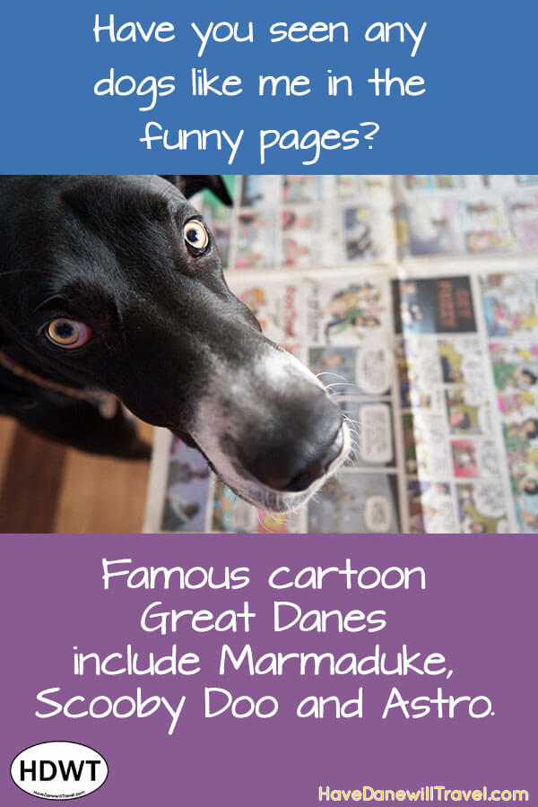 Three of the most famous Cartoon Great Danes - Have Dane will Travel