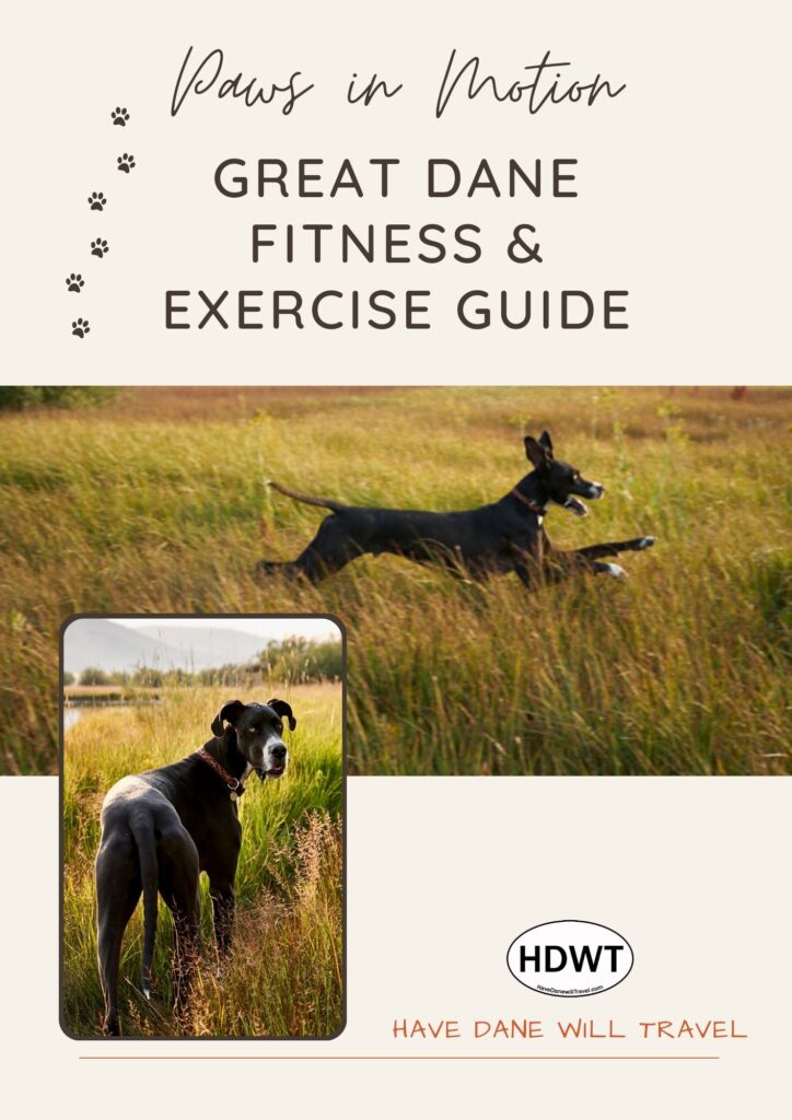 GREAT DANE FITNESS AND EXERCISE GUIDE - Have Dane will Travel